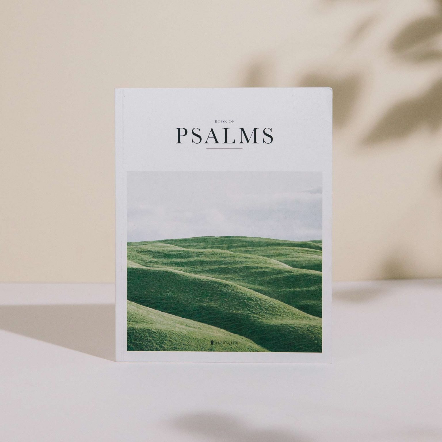 Agency Portfolio – Eidan